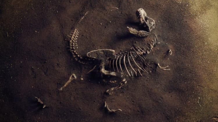 Dinosaur Fossil:वैज्ञानिकों ने खोज लिया ''शिव'' को, जानिए क्या है ...
