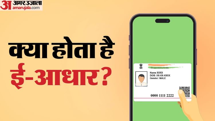 E Aadhaar Importance And How To Download E Aadhaar Check Full Process ...