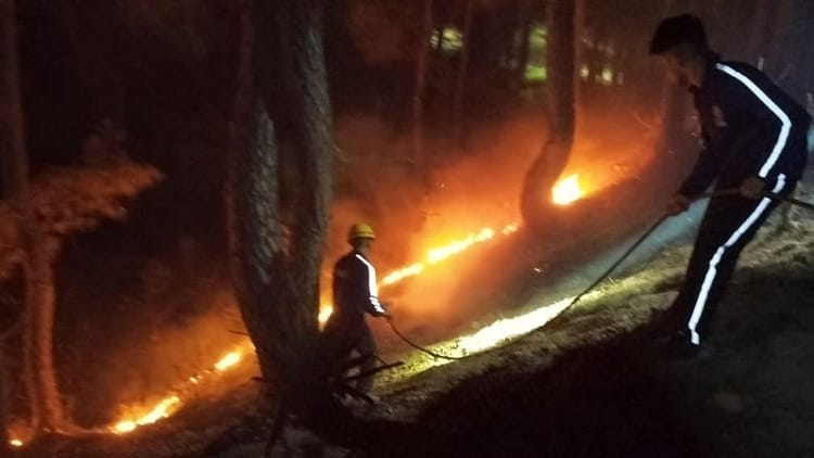 Uttarakhand Forest Fire: Worker Dies In Forest Fire In Almora - Amar ...