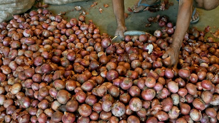 Onion Prices Likely To Cool Down Further With Arrival Of New Kharif Crop: Govt Official - Amar ...