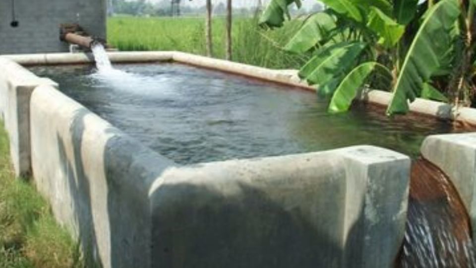 Land Becoming Barren In Punjab Ground Water In Only 19 Out Of 119 ...