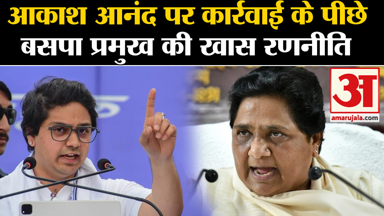 Loksabha Election 2024: Bsp Chief's Special Strategy Behind Action Against Akash Anand - Amar ...