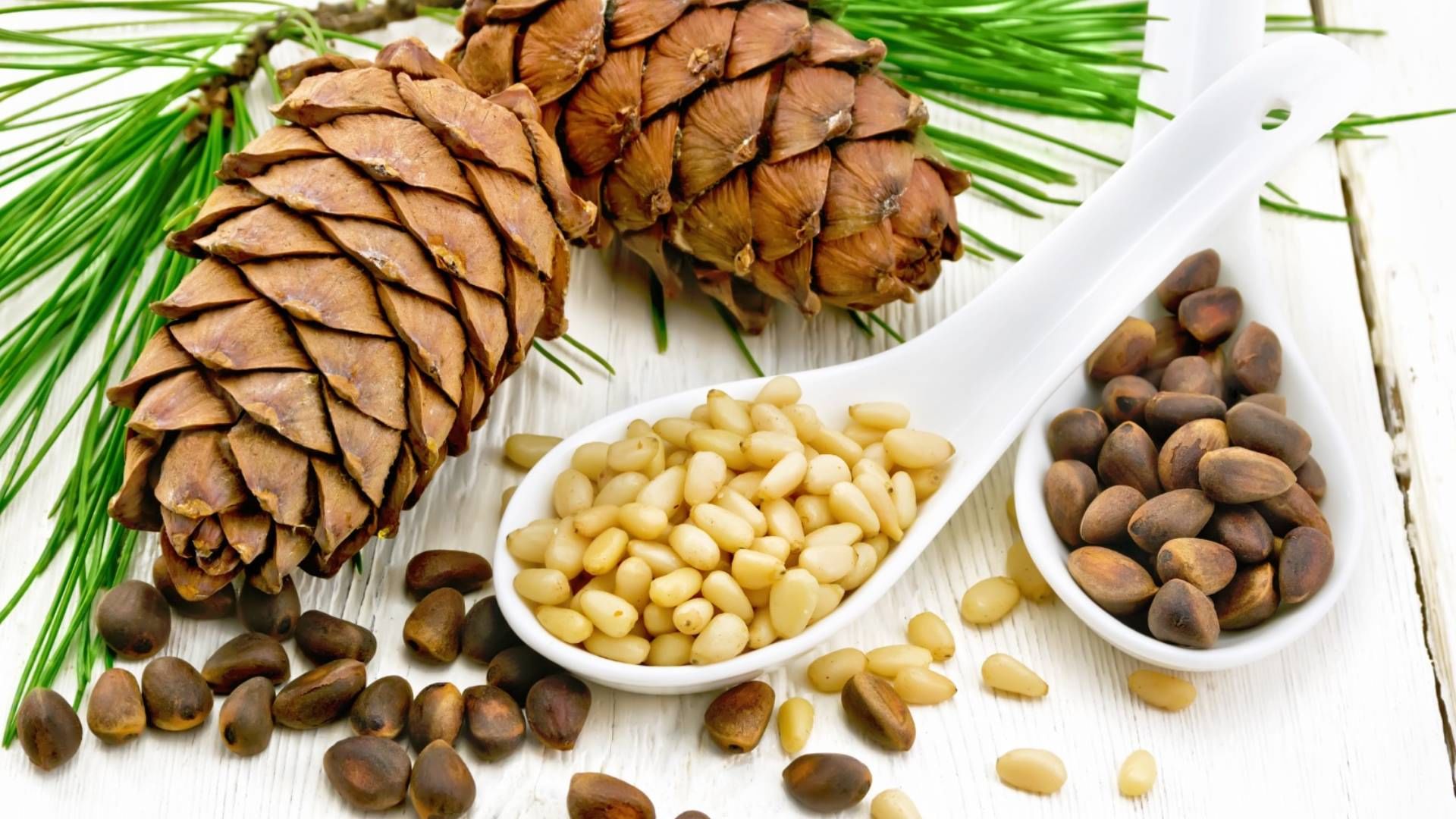 Health Benefits Of Chilgoza Khane Ke Fayde Pine Nuts Dry Fruits Benefits In Hindi - Amar Ujala ...