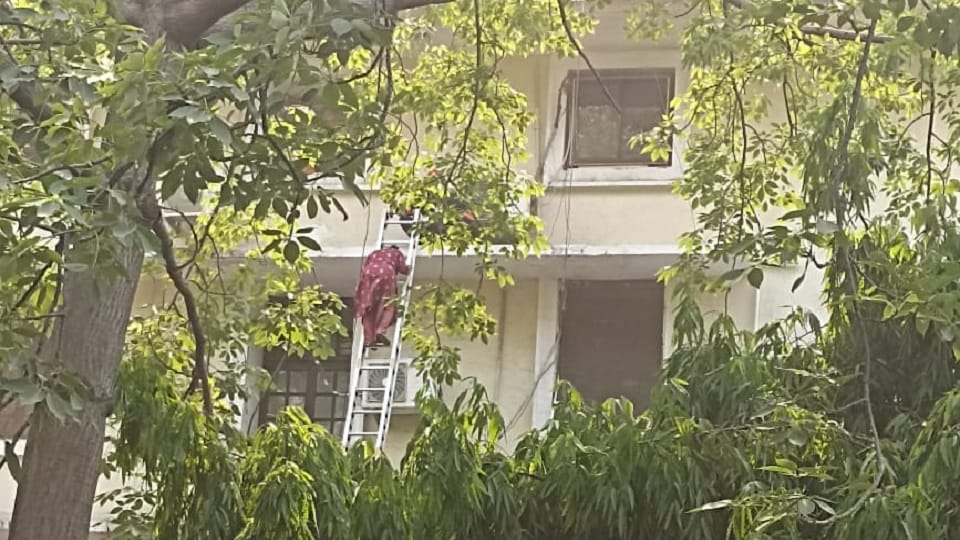 Fire In Delhi:ito स्थित Cr बिल्डिंग में भीषण आग, एक व्यक्ति की मौत ...