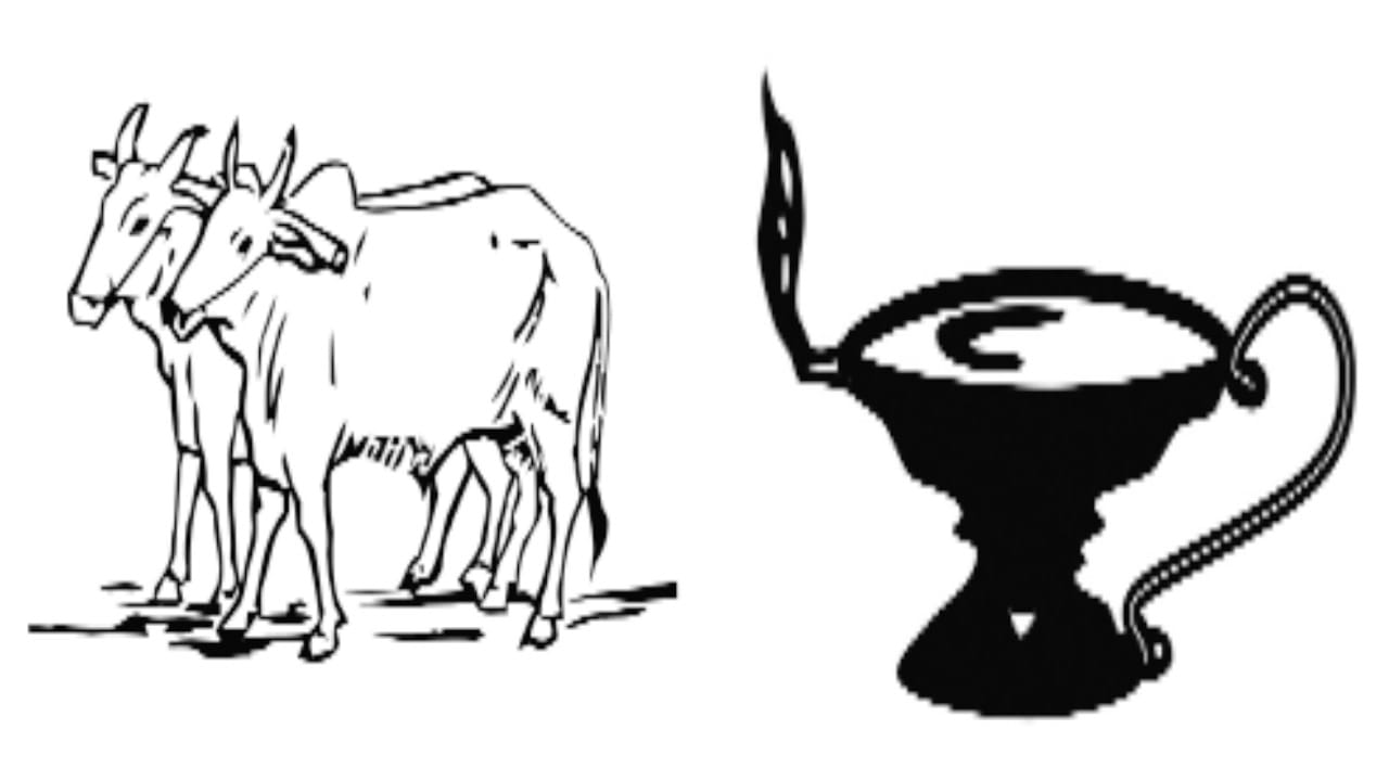 Lok Sabha Election: How Political Parties Get Election Symbols, Know ...