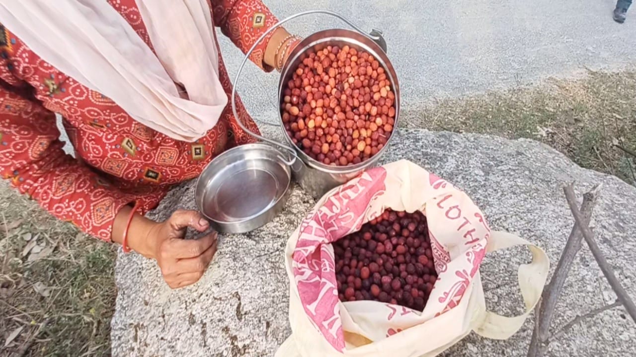 Kafal Fruit Full Of Medicinal Properties Started Selling In The Market ...