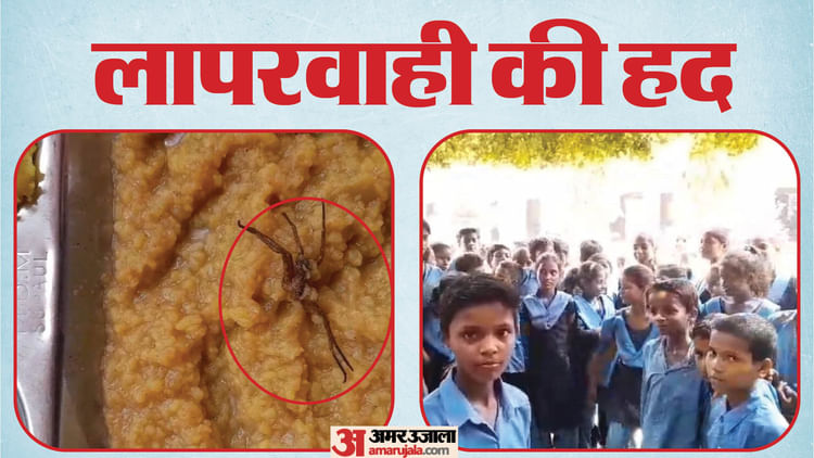 Supaul News Dead Spider Found In Mid Day Meal Children Created Ruckus Violence - Amar Ujala ...