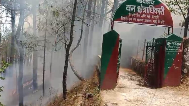 Uttarakhand Forest Fire:नई टिहरी के समीप बुडोगी गांव के जंगल में लगी आग ...