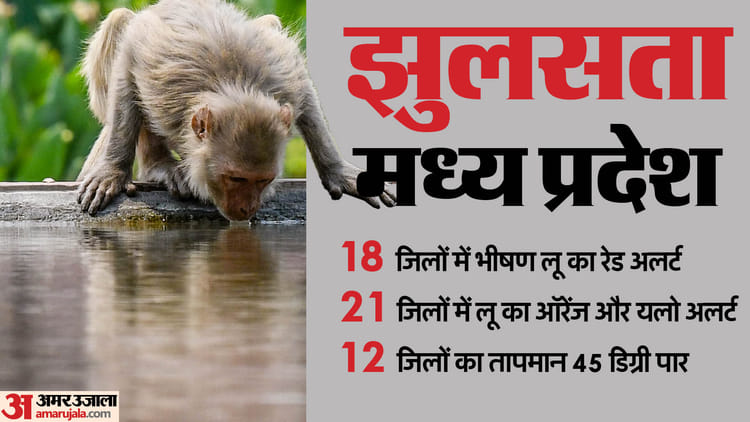 Mp Weather: Prithvipur Remained Hot For Third Consecutive Day ...