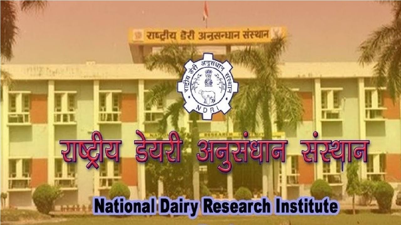 Haryana:जलवायु परिवर्तन से बढ़ रही गर्मी से पशुओं पर संकट, Ndri ने ...