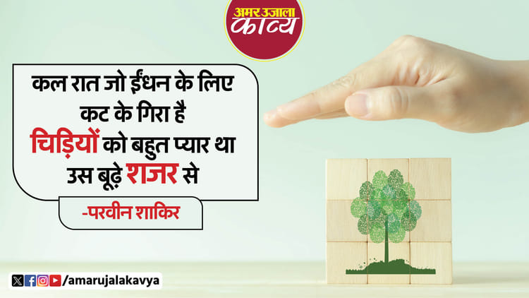World Environment Day Nature Shayari Sher On Trees River Viral Poetry ...