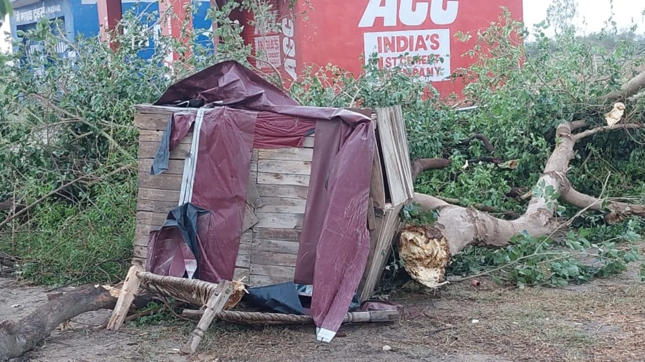 Sambhal: Pole And Tree Fell Due Storm In Sambhal, Two Houses Were ...