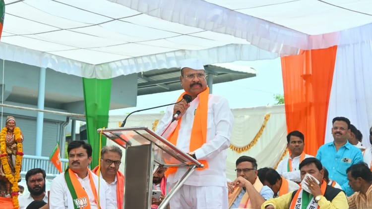 Maharashtra Assembly Election 2024: Bjp Leader Said Won't Campaign For ...