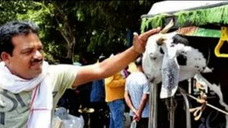 Lucknow:बकरीद पर 300 करोड़ के कारोबार से चहका बाजार, सिर्फ दो मंडियों ...