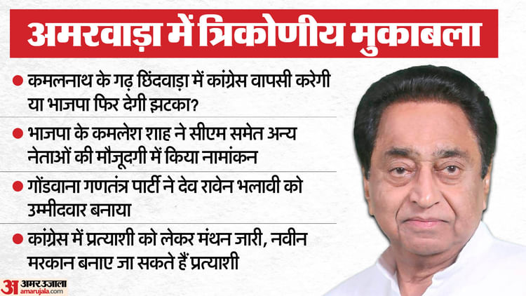 Amarwara Assembly By-election Bjp Vs Congress History Win Loss ...