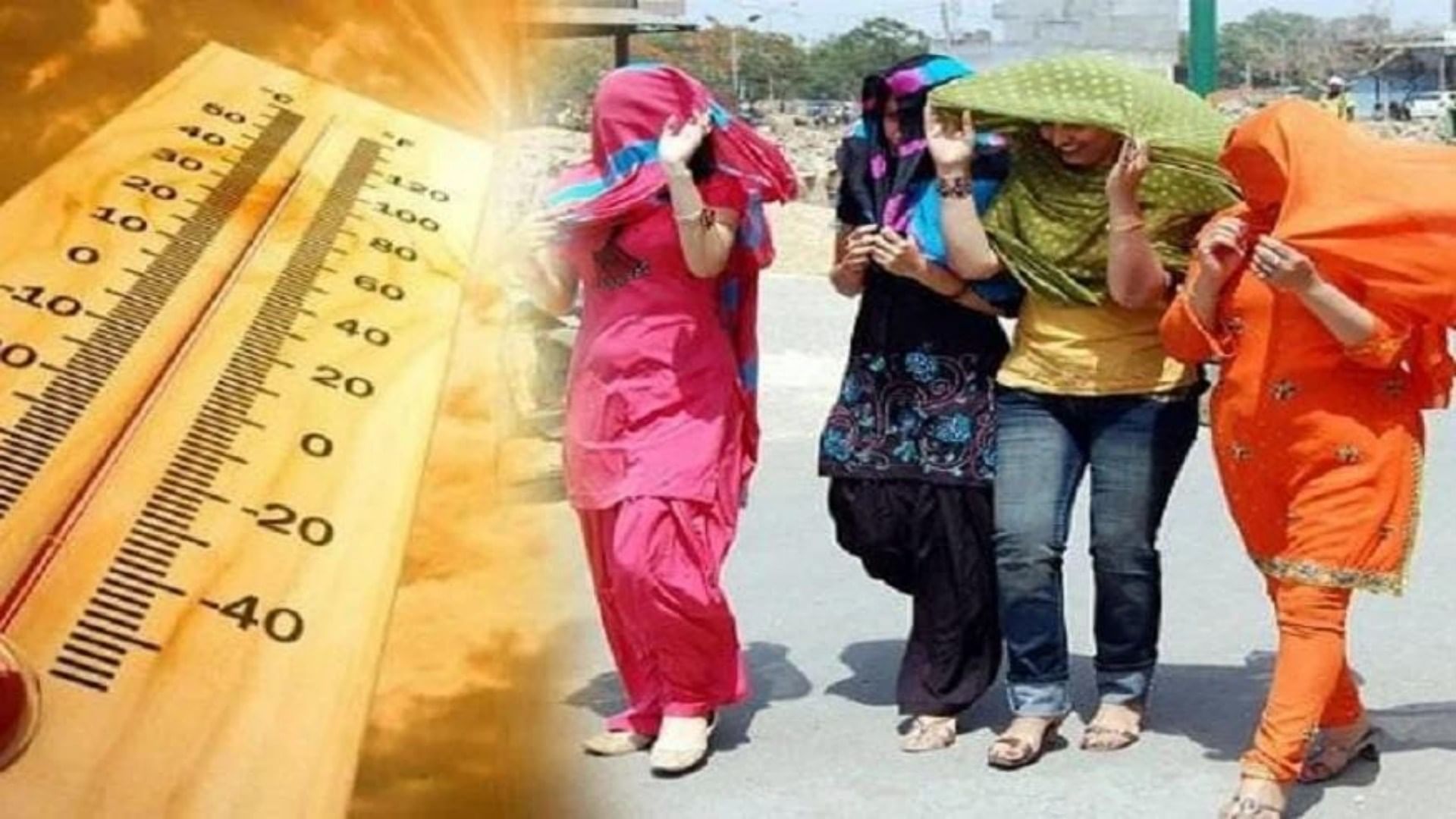 Bihar Forest Department: Miyawaki Forest Will Provide Relief From ...