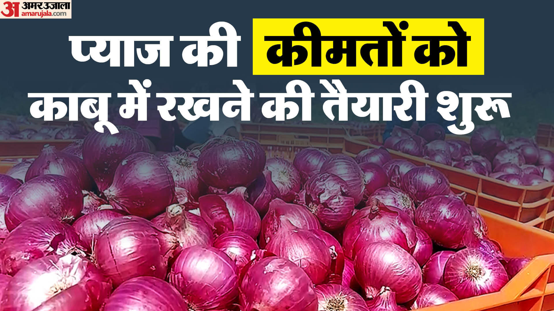Govt Buys 71,000 Tonnes Of Onion For Buffer Stock; Expects Retail Prices To Ease With Normal ...