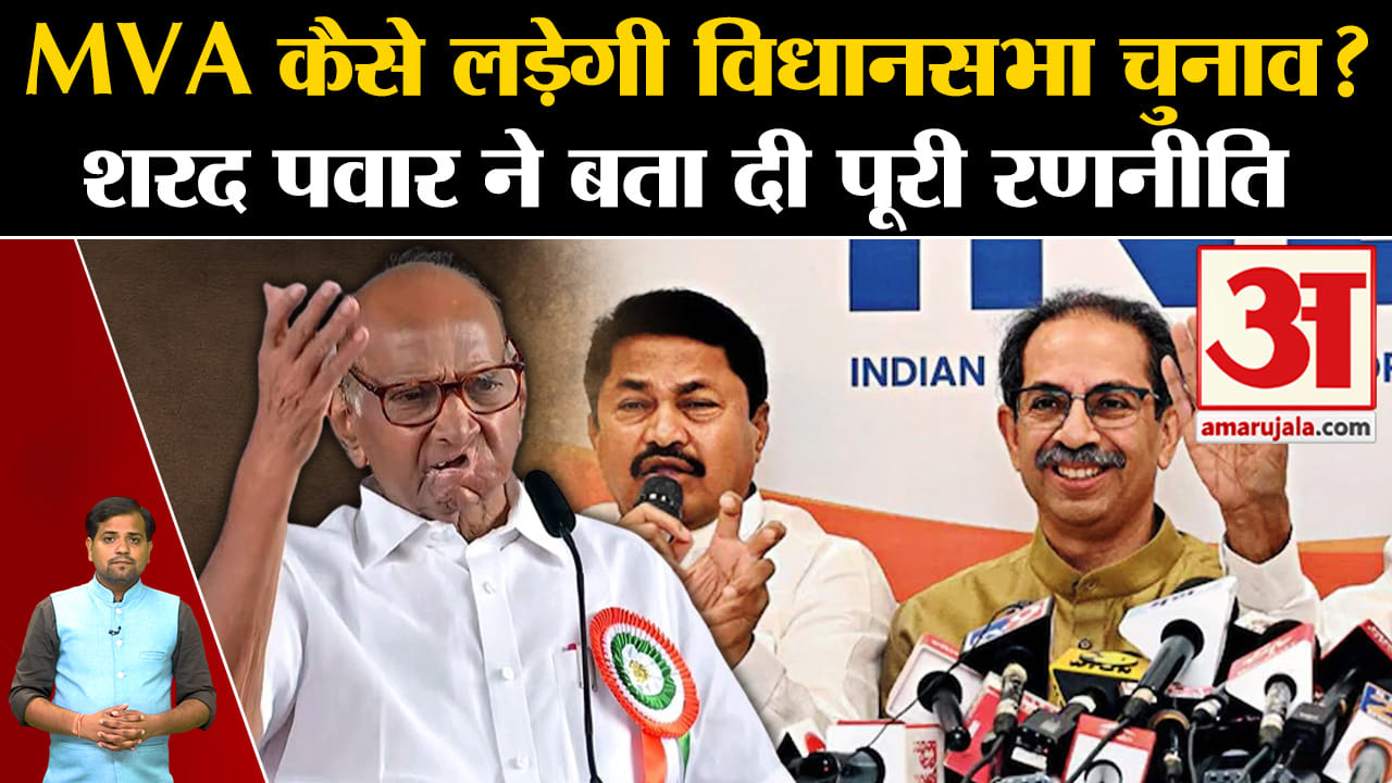 Maharashtra Politics: Sharad Pawar Told The Strategy For Assembly ...