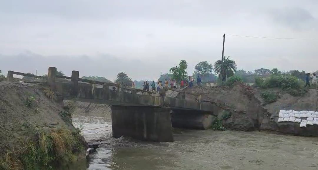 Bihar Bridge Collapsed: Bridge Collapsed Again In Siwan: Second Bridge ...