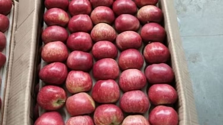 Apple Freight Rates Fixed Apple Transportation Will Be Based On Km Know ...