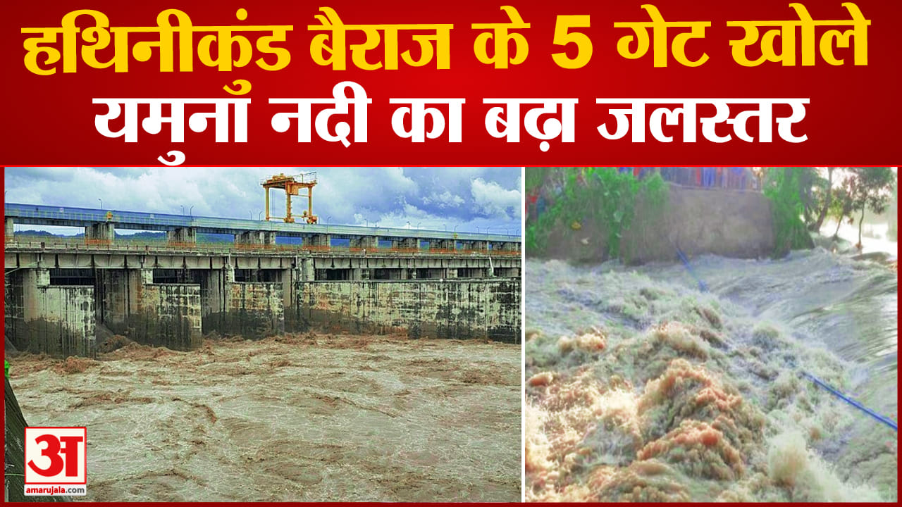 5 Gates Of Hathnikund Barrage Opened, Water Level Of Yamuna Increased ...
