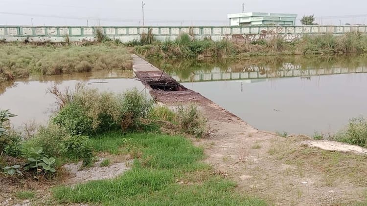 Kanpur:बिनगवां एसटीपी से पांडु नदी में बहाया गया 750 करोड़ लीटर गंदा ...