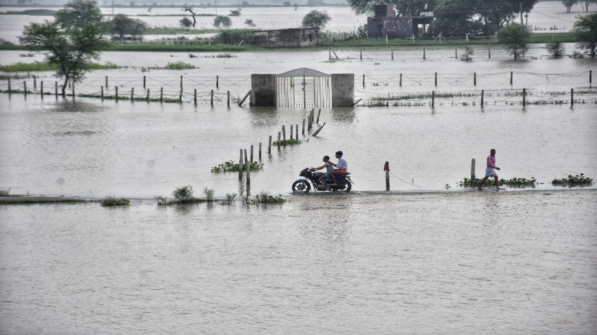 Up Flood News In Hindi 900 Villages In 20 Districts In Up Affected By Floods - Amar Ujala Hindi ...