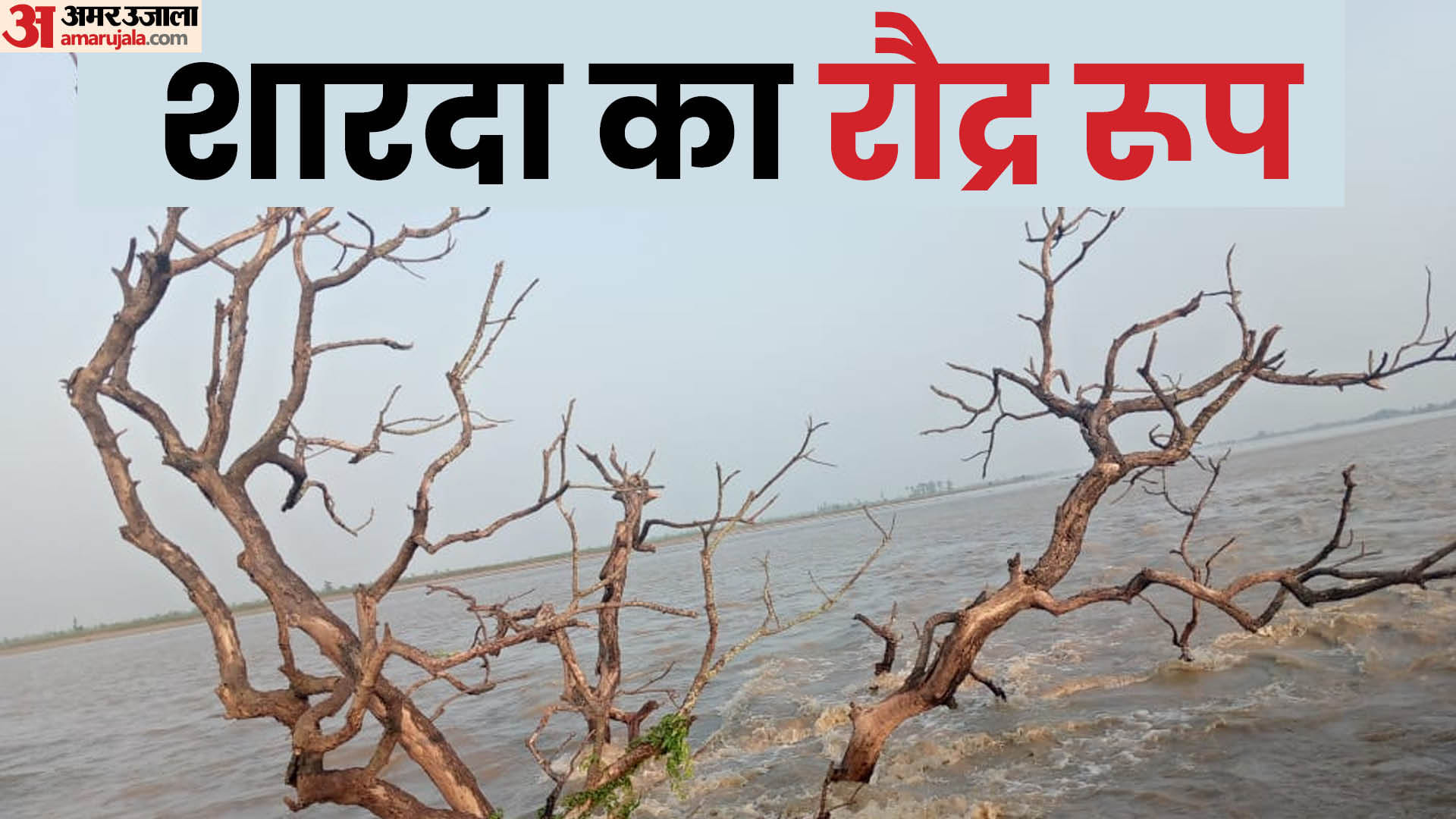 Tree And Platform Got Submerged In The Sharda River Due Erosion In ...