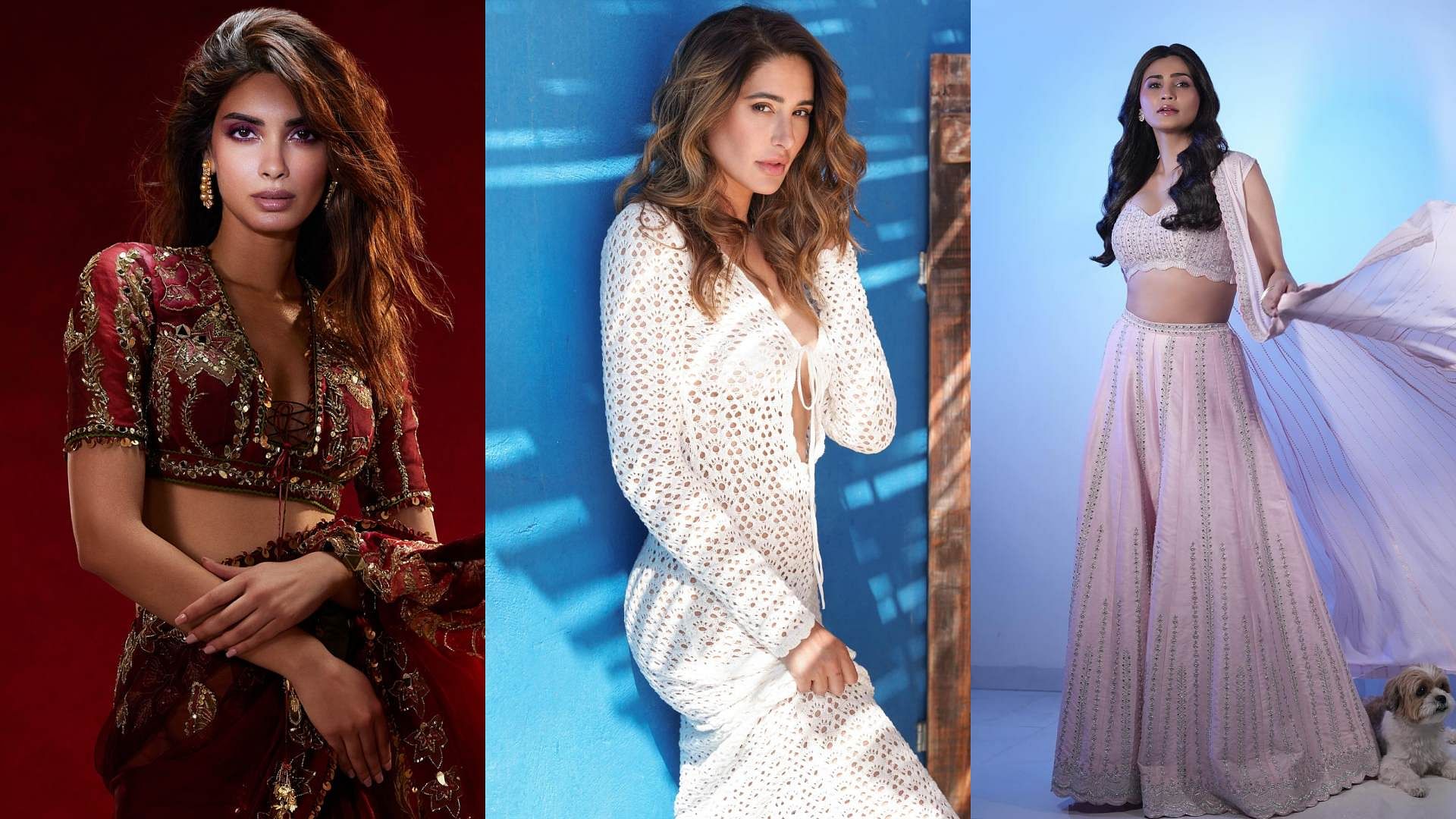 Nargis Fakhri Ileana Dcruz Zareen Khan Bollywood Actresse Disappeared