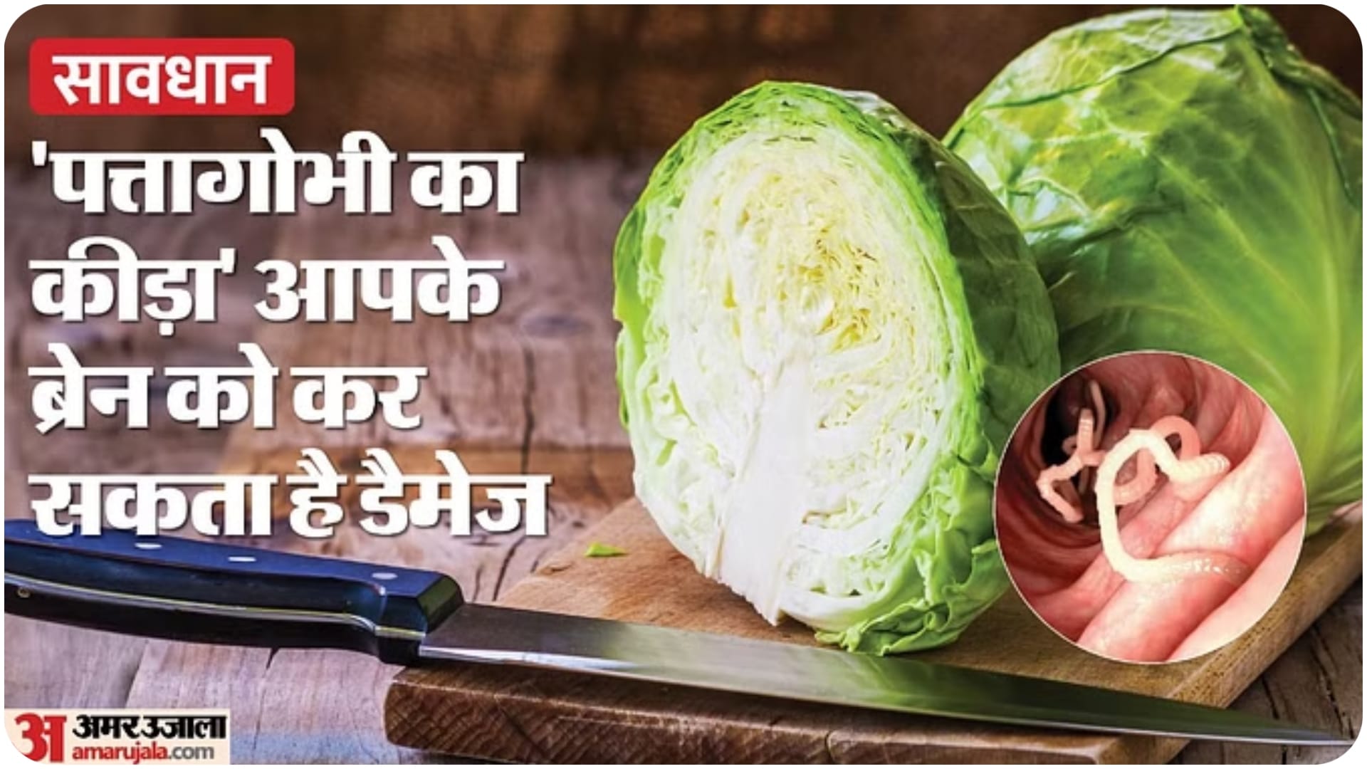 Health Alert:क्या पत्तागोभी खाने से दिमाग में पहुंच जाते हैं कीड़े ...