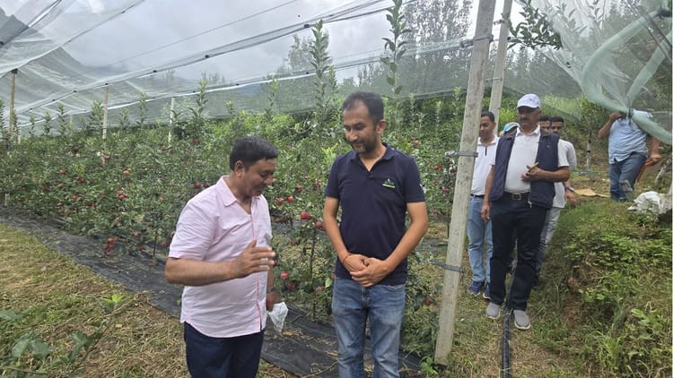 Horticulture Minister Jagat Singh Negi Asked Apple Orchardist How Is ...