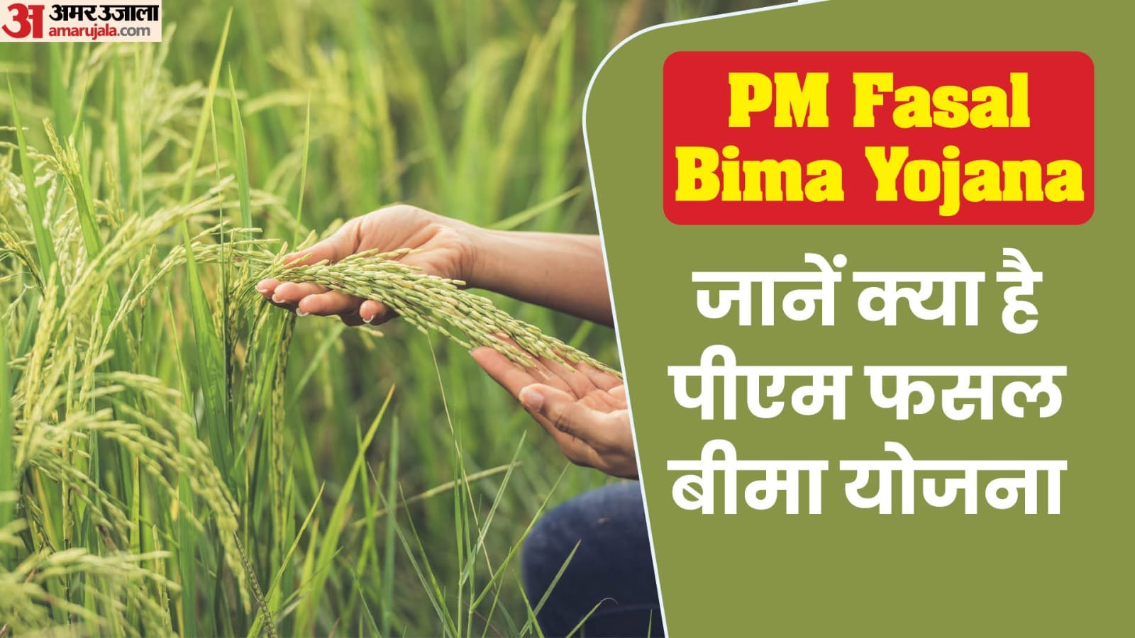 Who Is Eligible For Pm Fasal Bima Yojana And Registration Process In ...