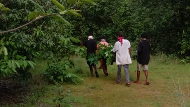 Villager Dies After Getting Electrocuted By Live Wire Laid For Hunting ...