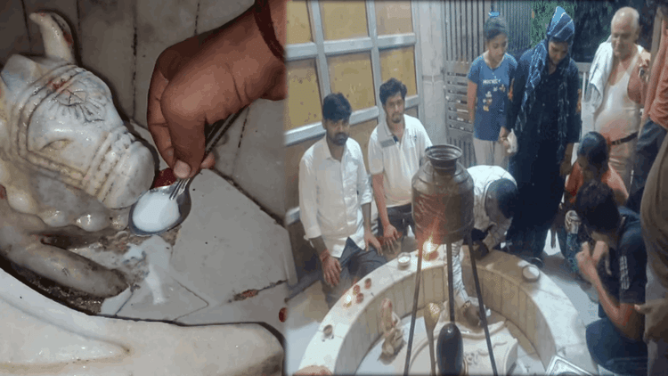 Nandi Baba Drank Milk In A Temple Of Muradnagar, Watch The Video - Amar ...