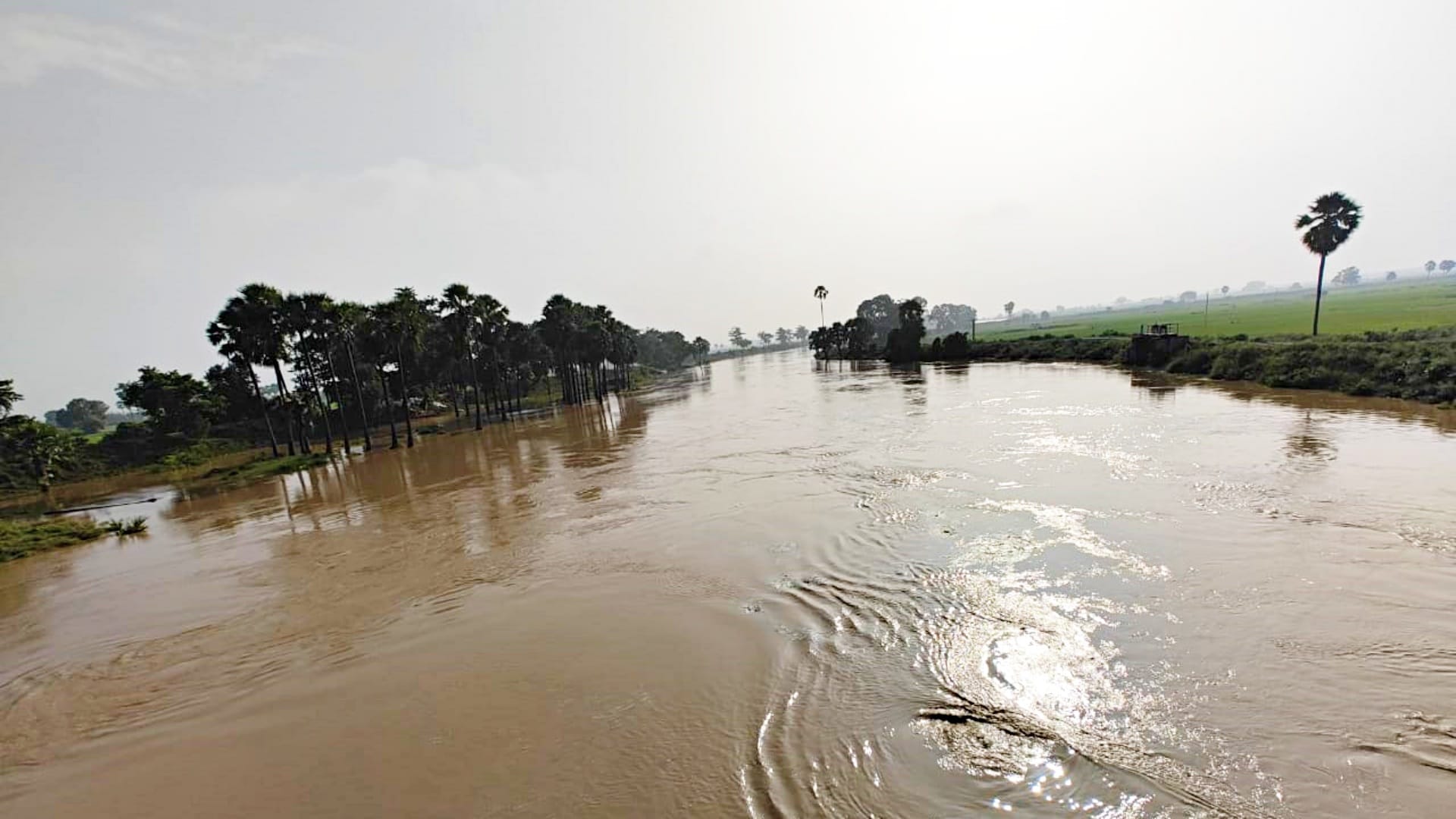 Bihar Flood:नालंदा में जिरायन नदी का जलस्तर बढ़ने से तटबंध टूटा, हजार ...