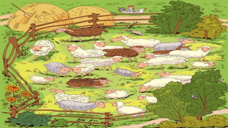 Optical Illusion: Can You Spot Wolf Among Sheep Within 5 Seconds Brain ... Optical Illusion: Can You Spot Wolf Among Sheep Within 5 Seconds Brain ...