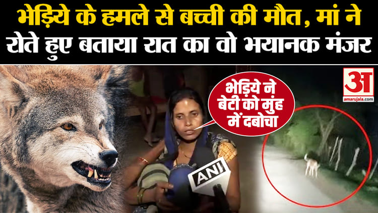 Wolf Attack In Bahraich:भेड़िये के हमले से बच्ची की मौत, मां ने रोते ...