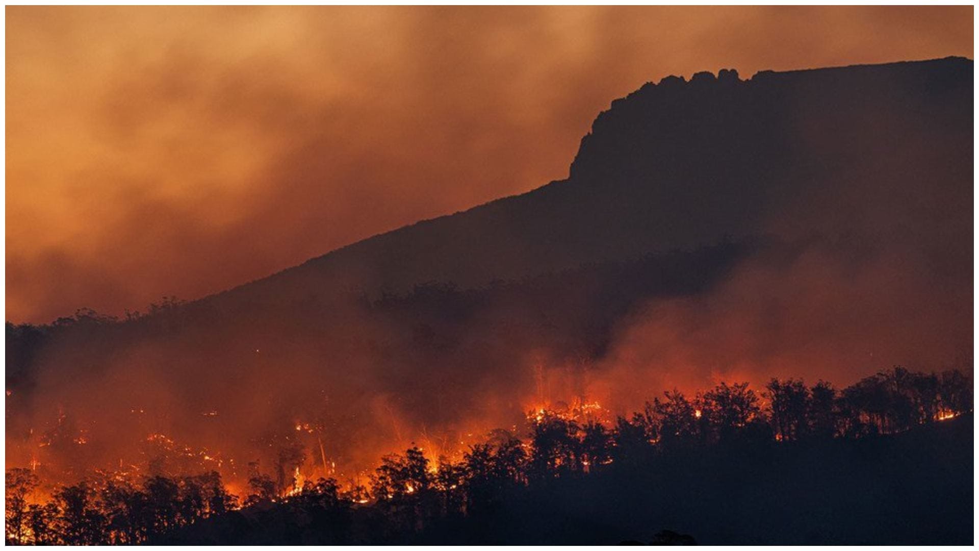 Solan Forest Fire:कंडाघाट में फैली जंगल की आग, स्थानीय लोग और सरकारी ...