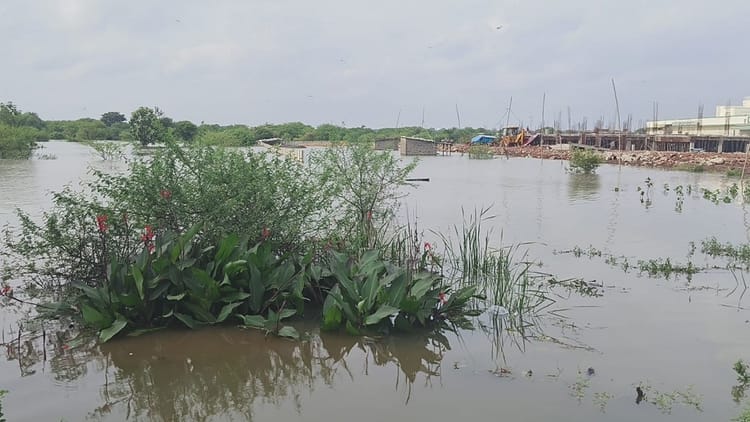 Water Level Of Shivnath River Increased Flood Water Entered Dozens Of ...