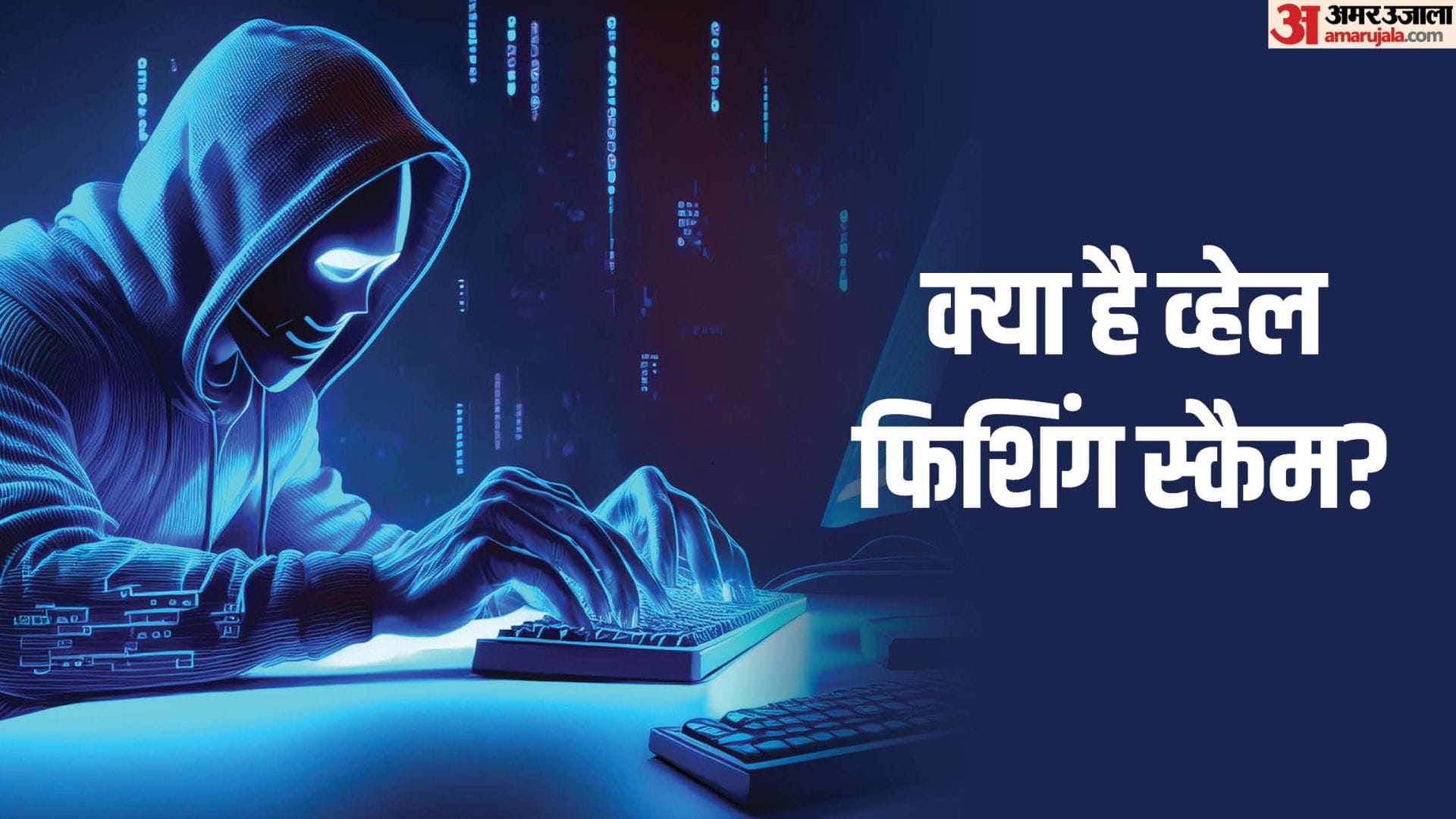 What Is Whale Phishing Scam And How Safe Know The Tips - Amar Ujala ...