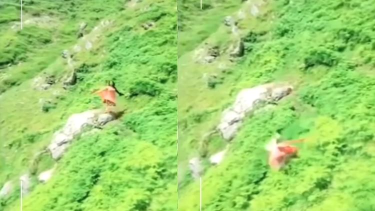 While Making A Reel In Chamba, The Girl Fell Into A Ditch, Video Viral - Amar Ujala Hindi News ...