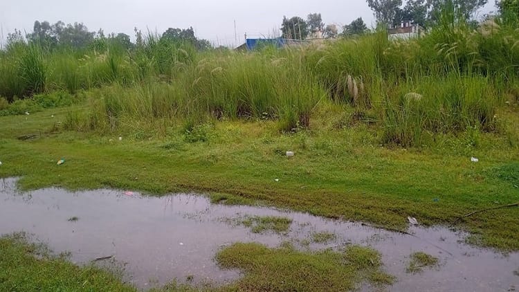 Uttarakhand News: Jaspur Textile Park Due To Lack Of Basic Facilities - Amar Ujala Hindi News ...