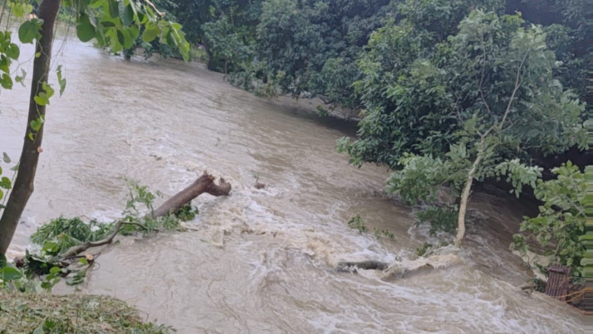 Bihar Flood Updates:नीतीश सरकार के मंत्री ने बताया- क्यों आई बिहार के ...