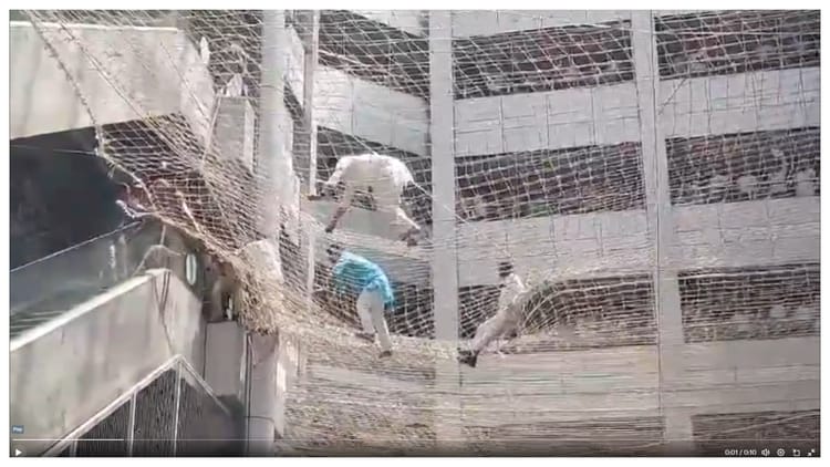 Maharashtra Deputy Speaker Narhari Jhirwal Jump From Third Floor ...