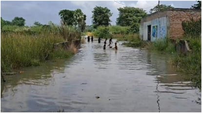 Bihar News :मुजफ्फरपुर में बूढ़ी गंडक का रौद्र रूप, खतरे के निशान के ...