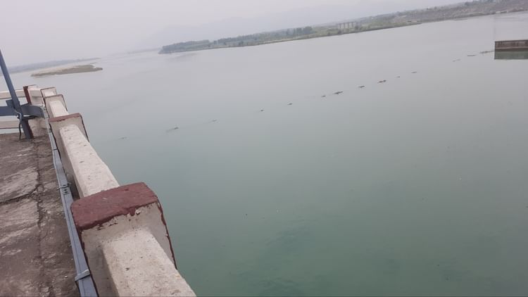 Water Level Of Hathini Kund Barrage Decreased, Crisis On Hydroelectric ...