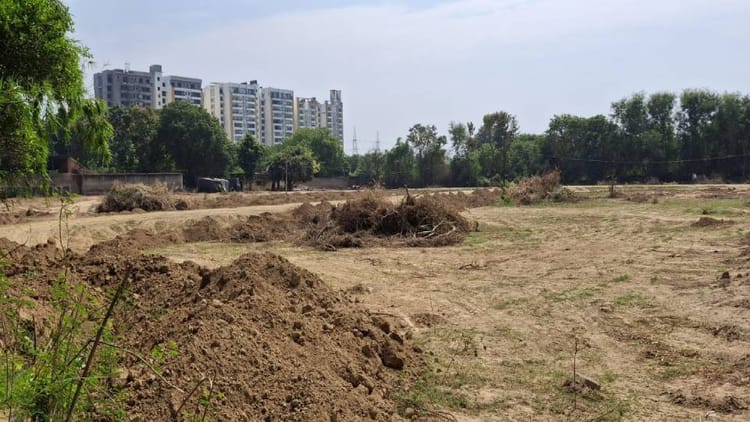 Ttz Cut Down 7020 Trees Without Permission Of Supreme Court In Agra ...