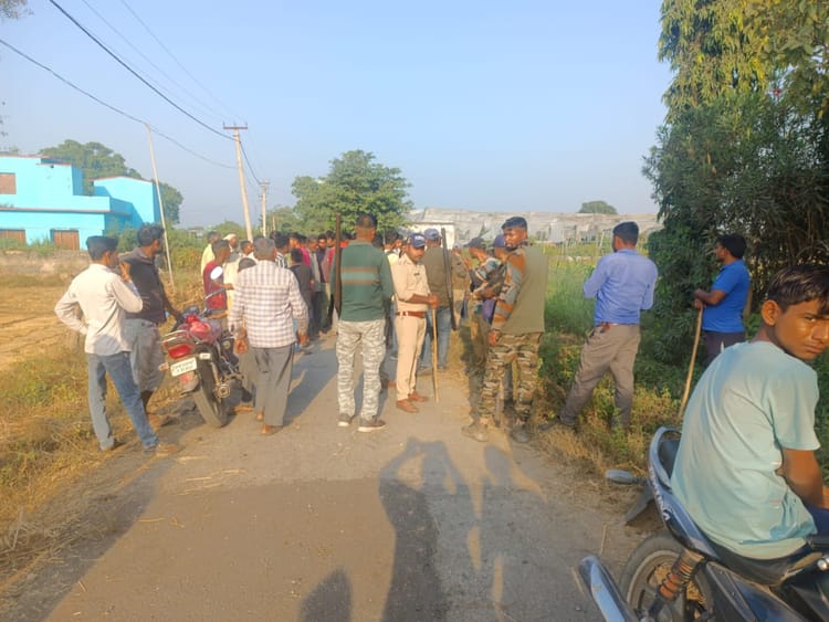 Haridwar News Leopard Attacked On Forest Worker Of Rescue Team In Peeli ...