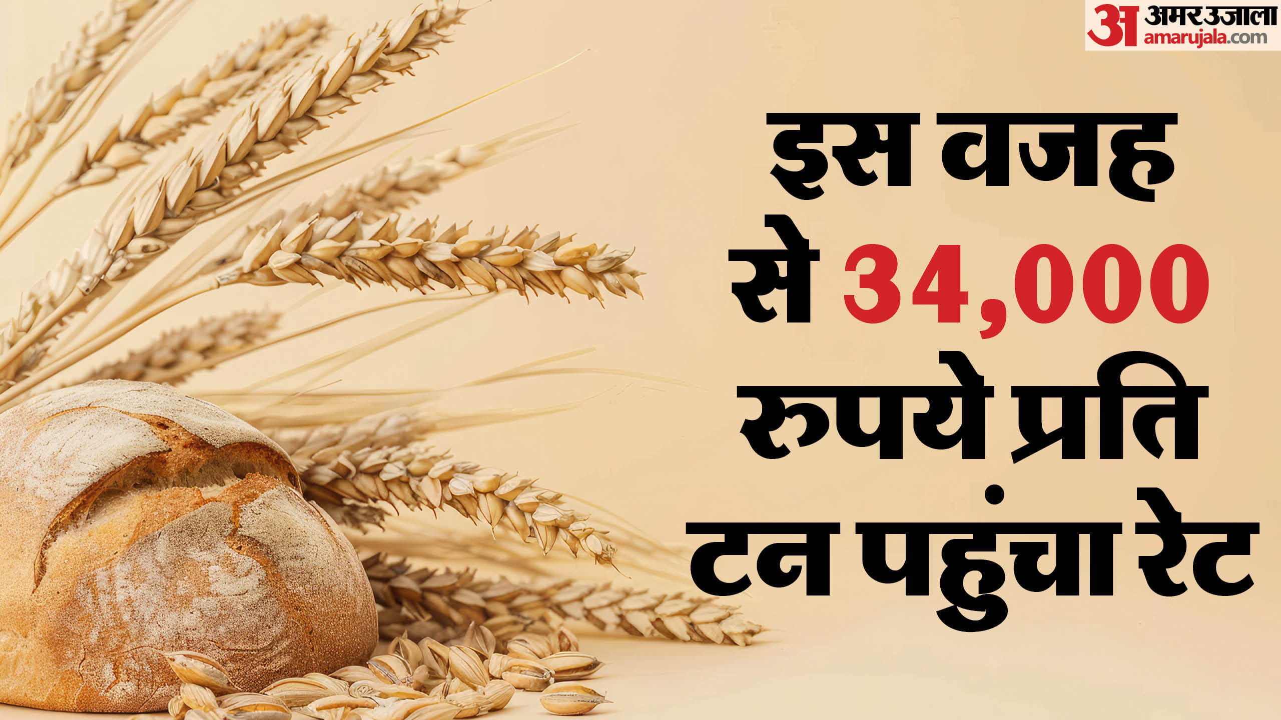 Wheat Price Is Reaching Record Levels In Country - Amar Ujala Hindi ...