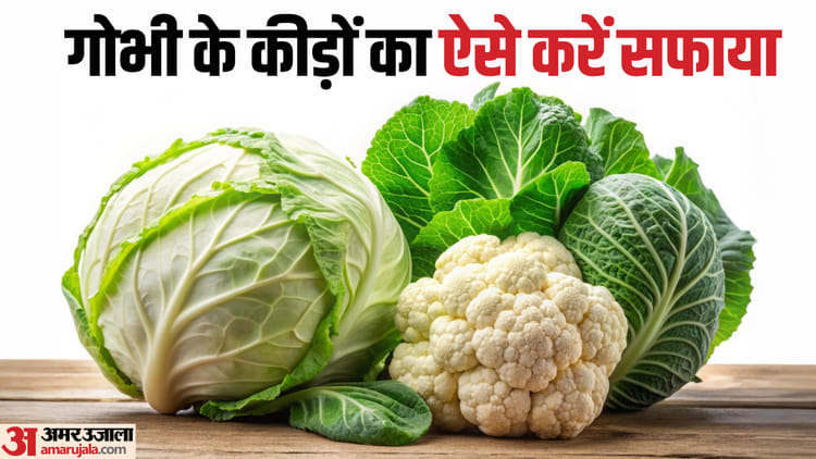 How To Clean Cabbage Cauliflower In Easy Way In Hindi - Amar Ujala ...